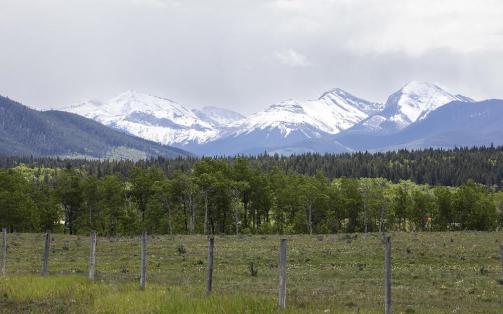 A Calgary sneak peek | Rotary International