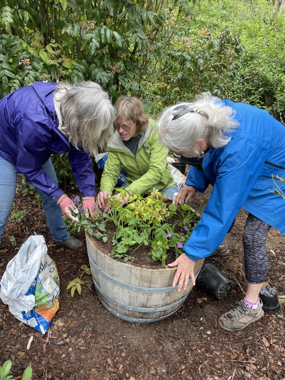 Rotary projects around the globe March 2024 | Rotary International