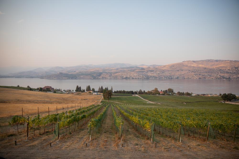 Turning wine bottles back into sand | Rotary International