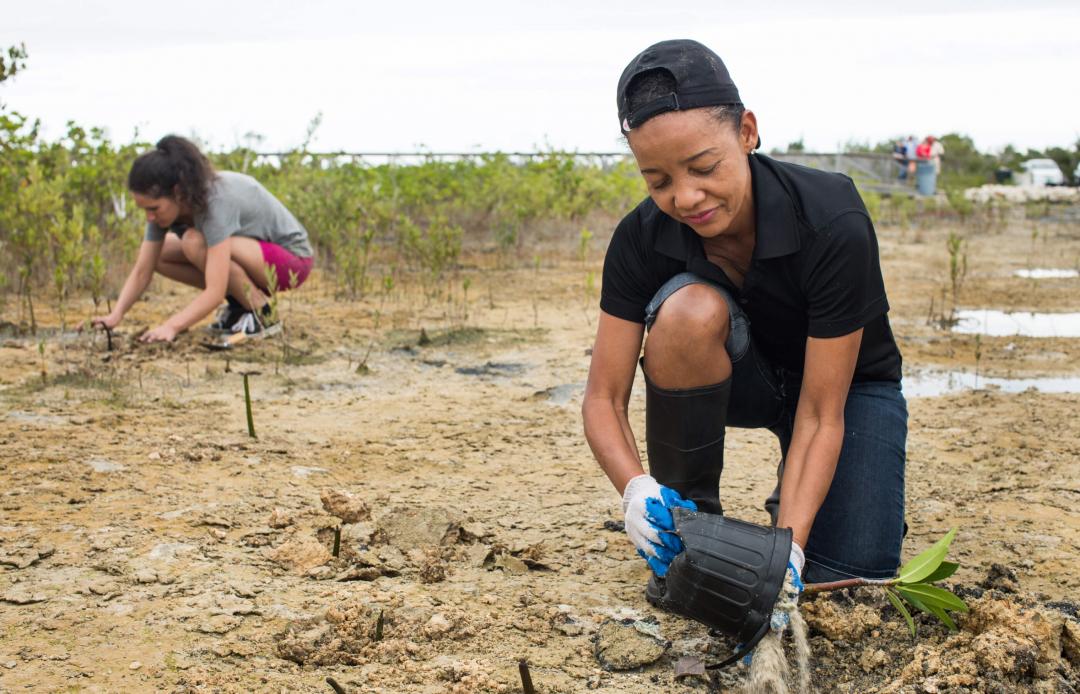 Protecting the Environment | Rotary International