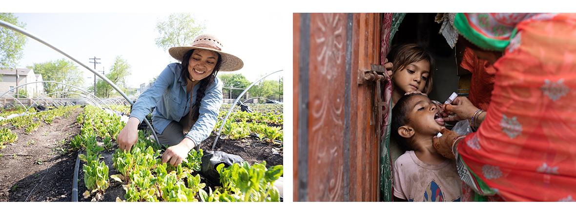 Our year | Rotary International