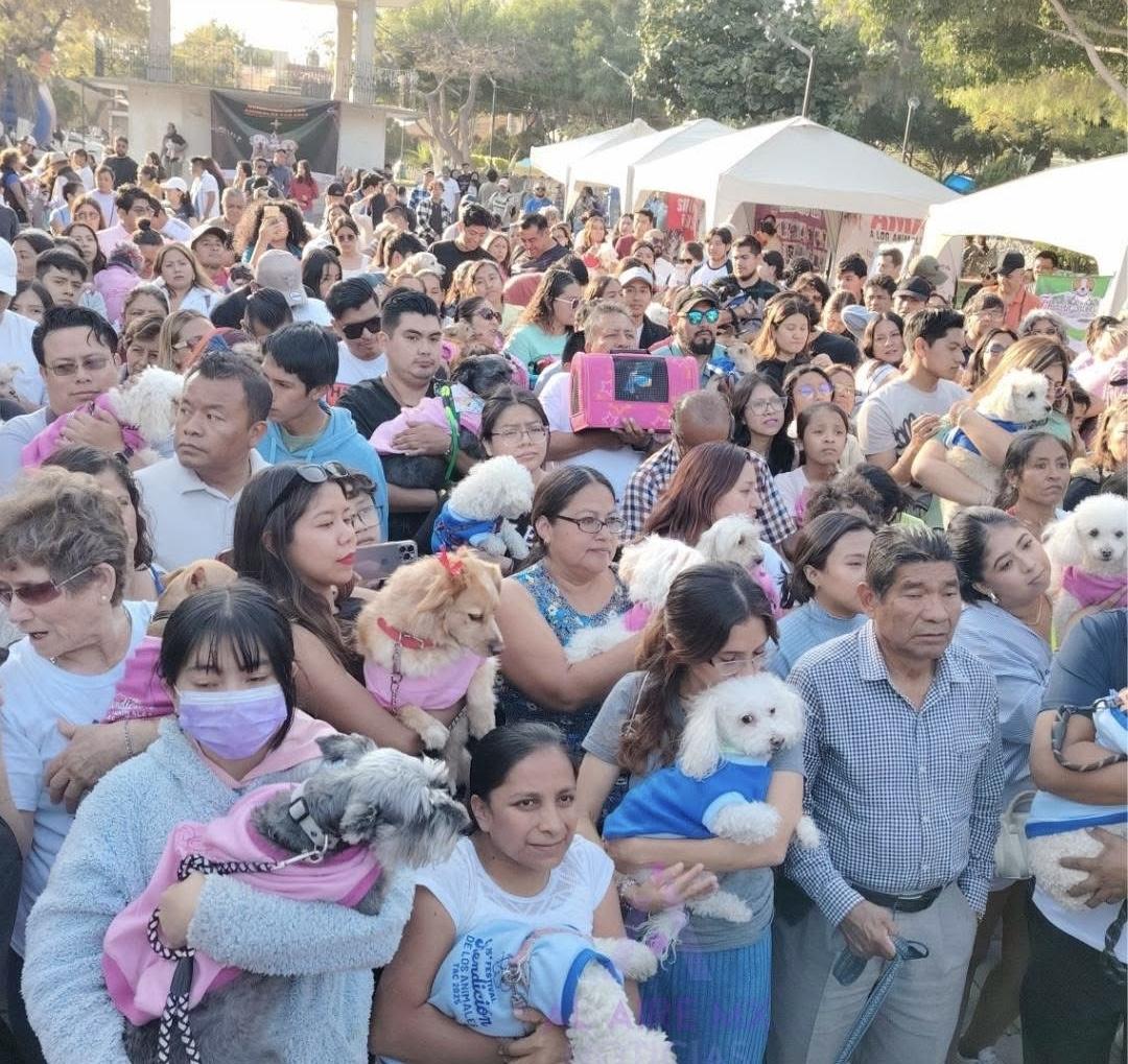 Rotary projects around the globe May 2025 | Rotary International