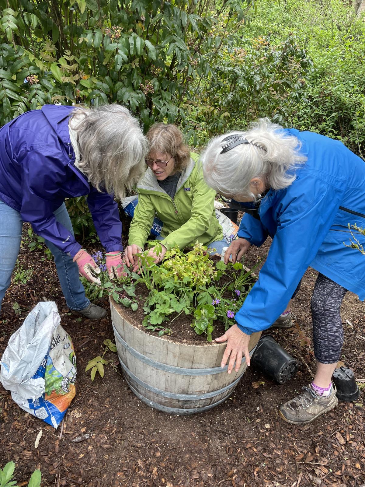 Rotary projects around the globe March 2024 | Rotary International