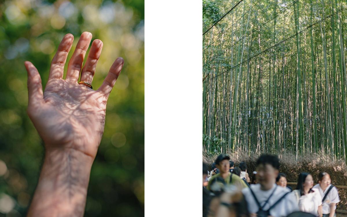 Arbor daze The therapeutic benefits of forest bathing | Rotary ...