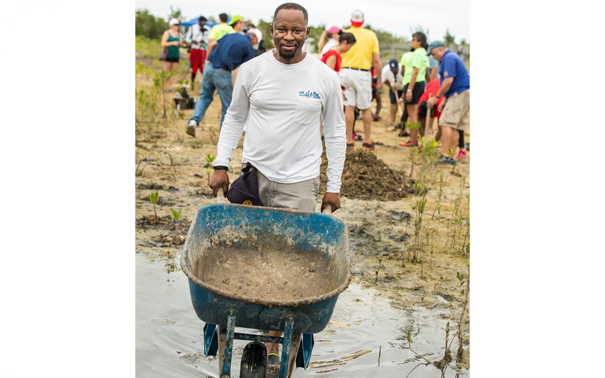 Why Rotary is committed to mangroves | Rotary International