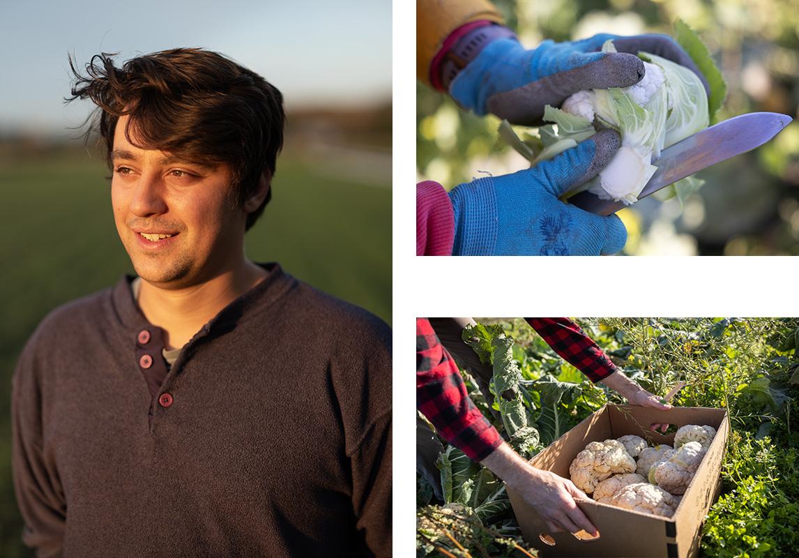 From farm to food pantry | Rotary International