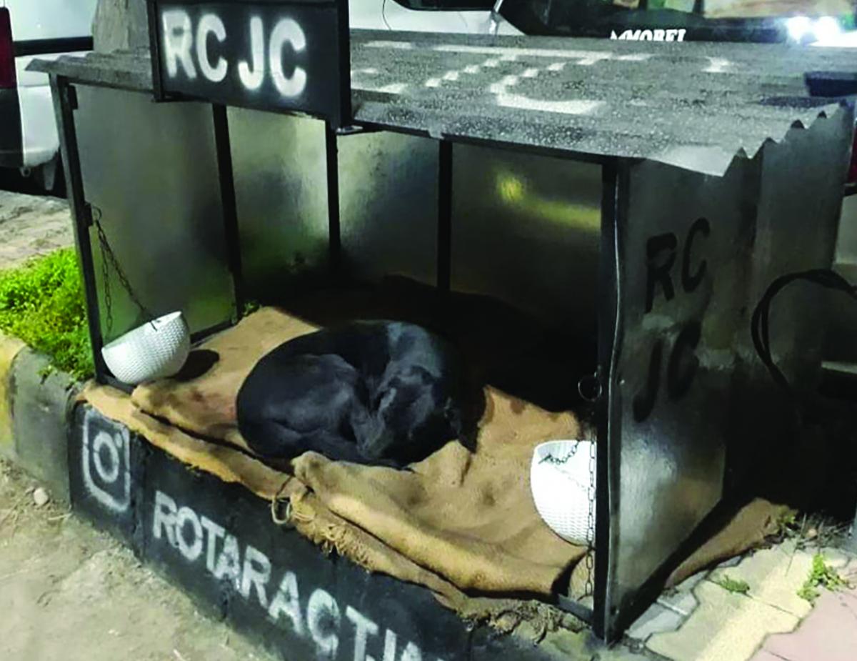 Rotary projects around the globe September 2021 | Rotary International