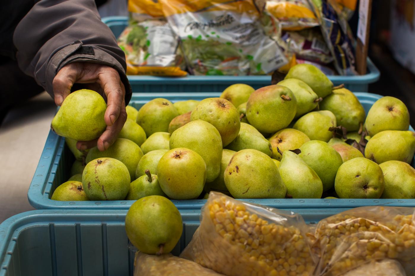 Rotary and Earth Day | Rotary International