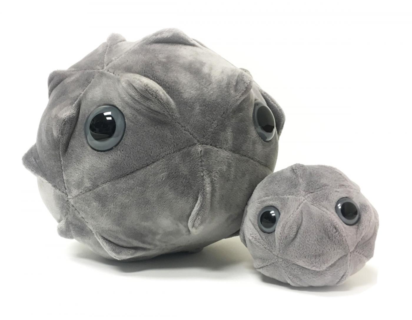 Giantmicrobes | Rotary International