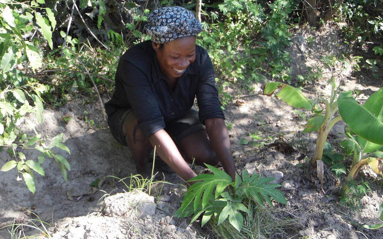 Food of the future | Rotary International