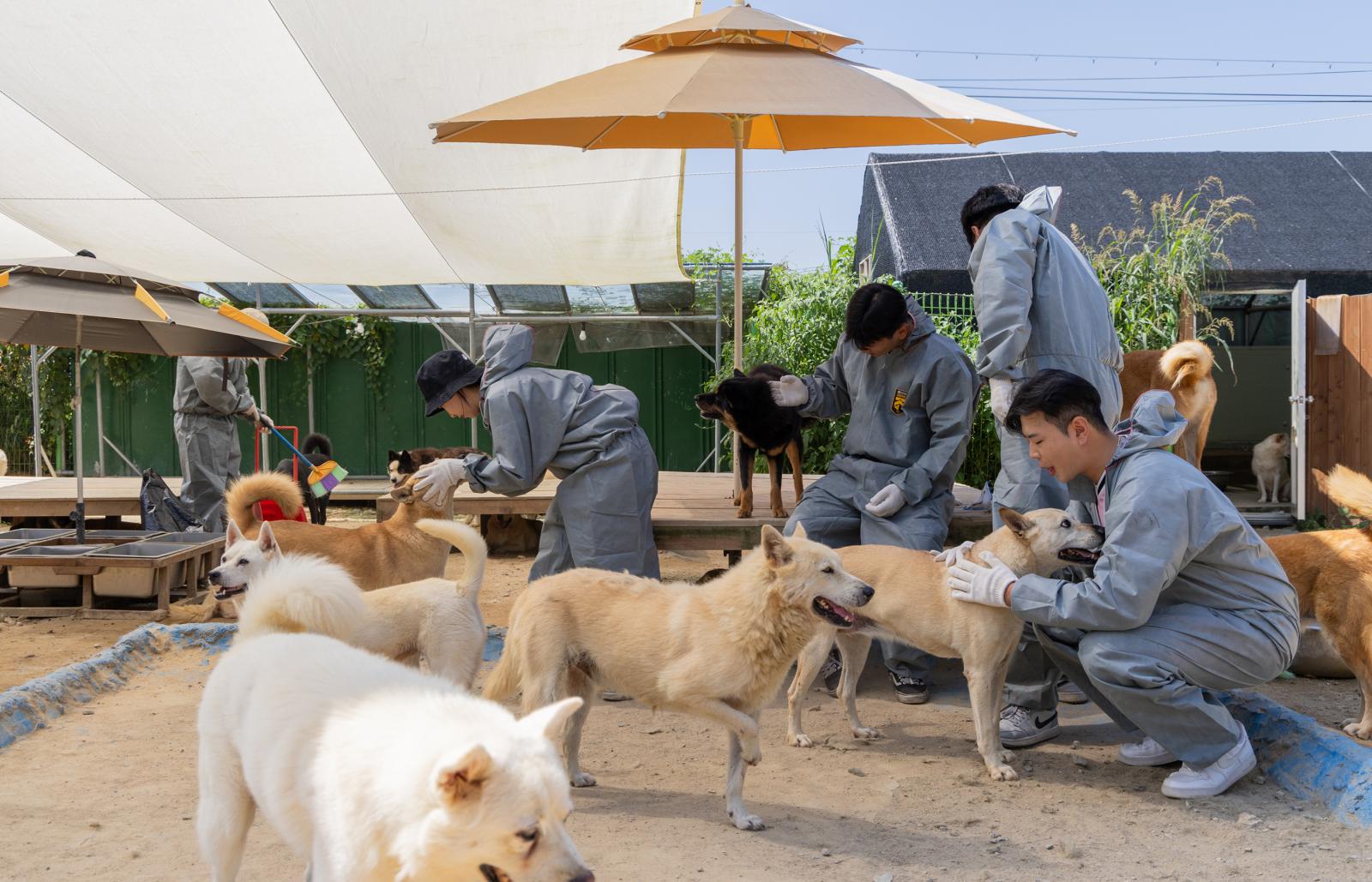 Our stories | Rotary International