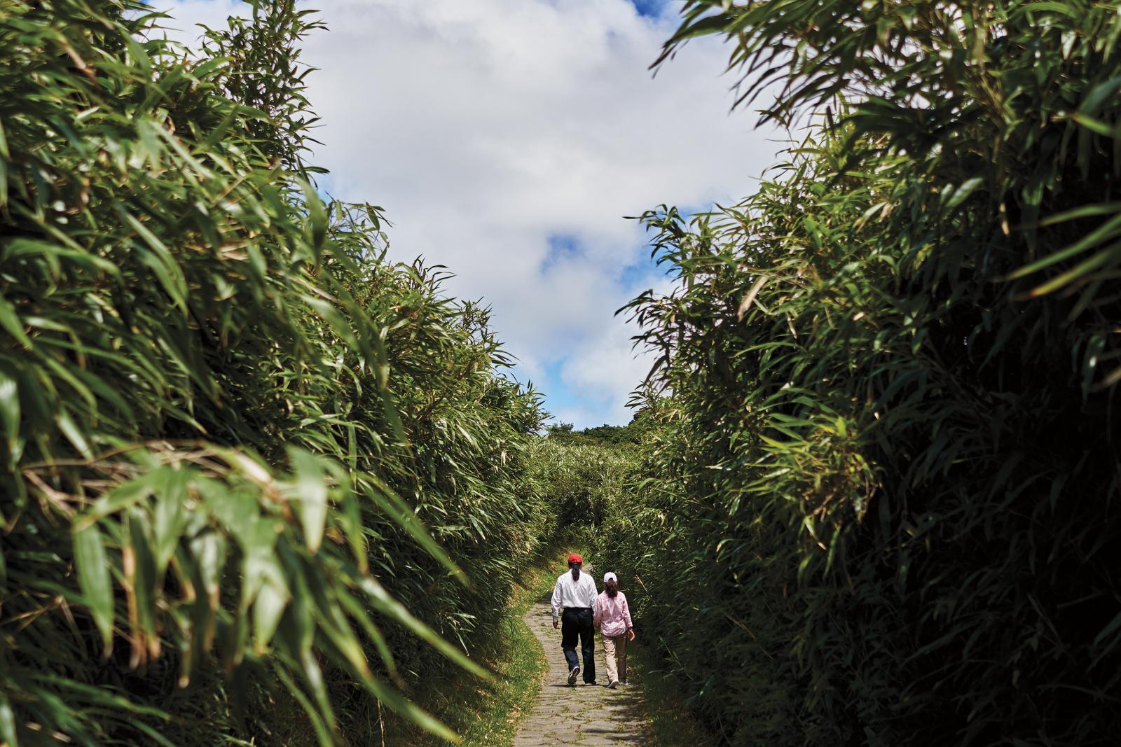 Taipei rising: Rotary International announces 2021 Convention location ...
