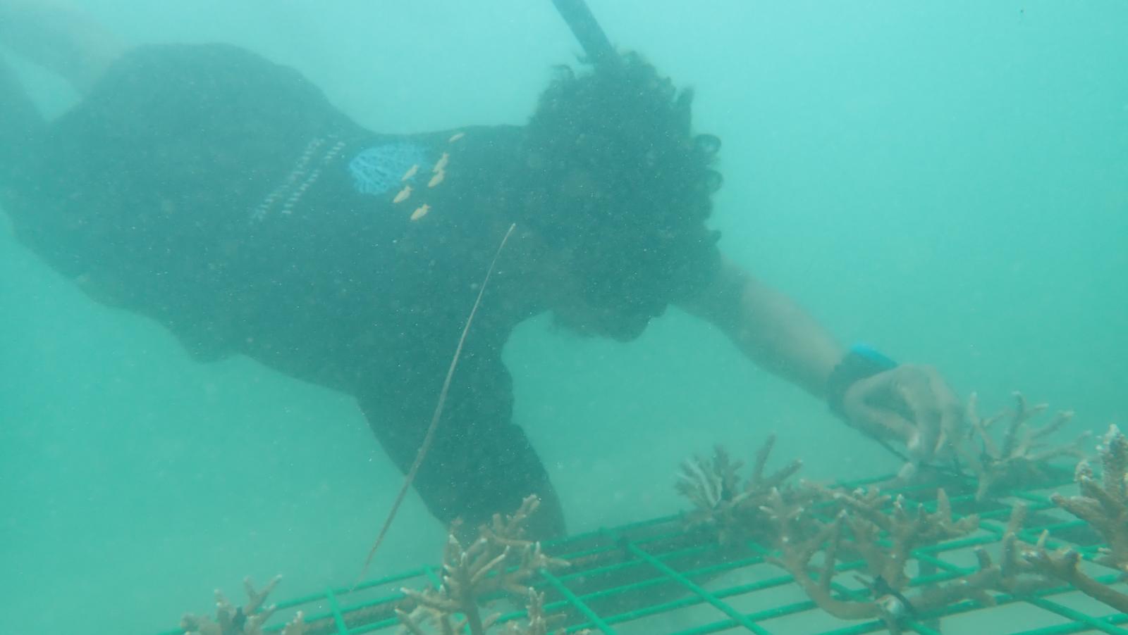 Rotary projects around the globe December 2023 | Rotary International