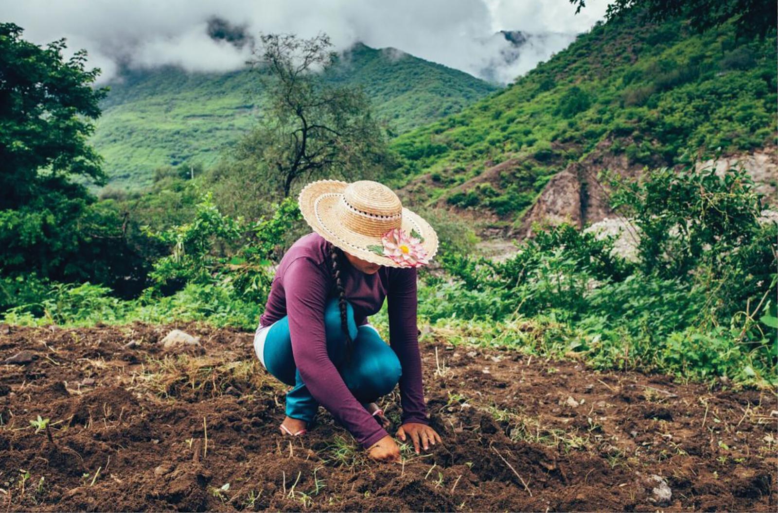 Eleven eco-friendly service projects around the world | Rotary ...