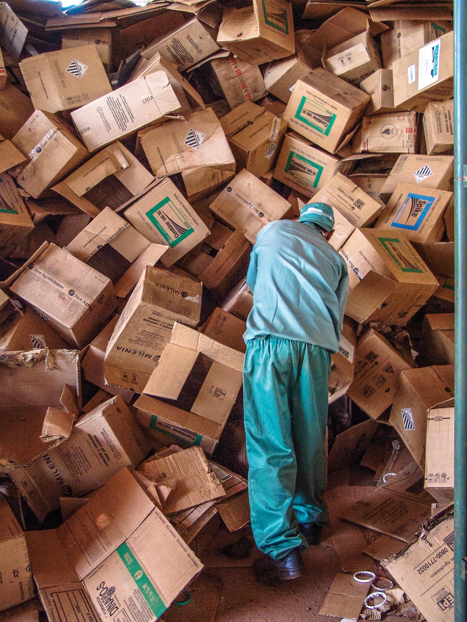 Eleven eco-friendly service projects around the world | Rotary ...