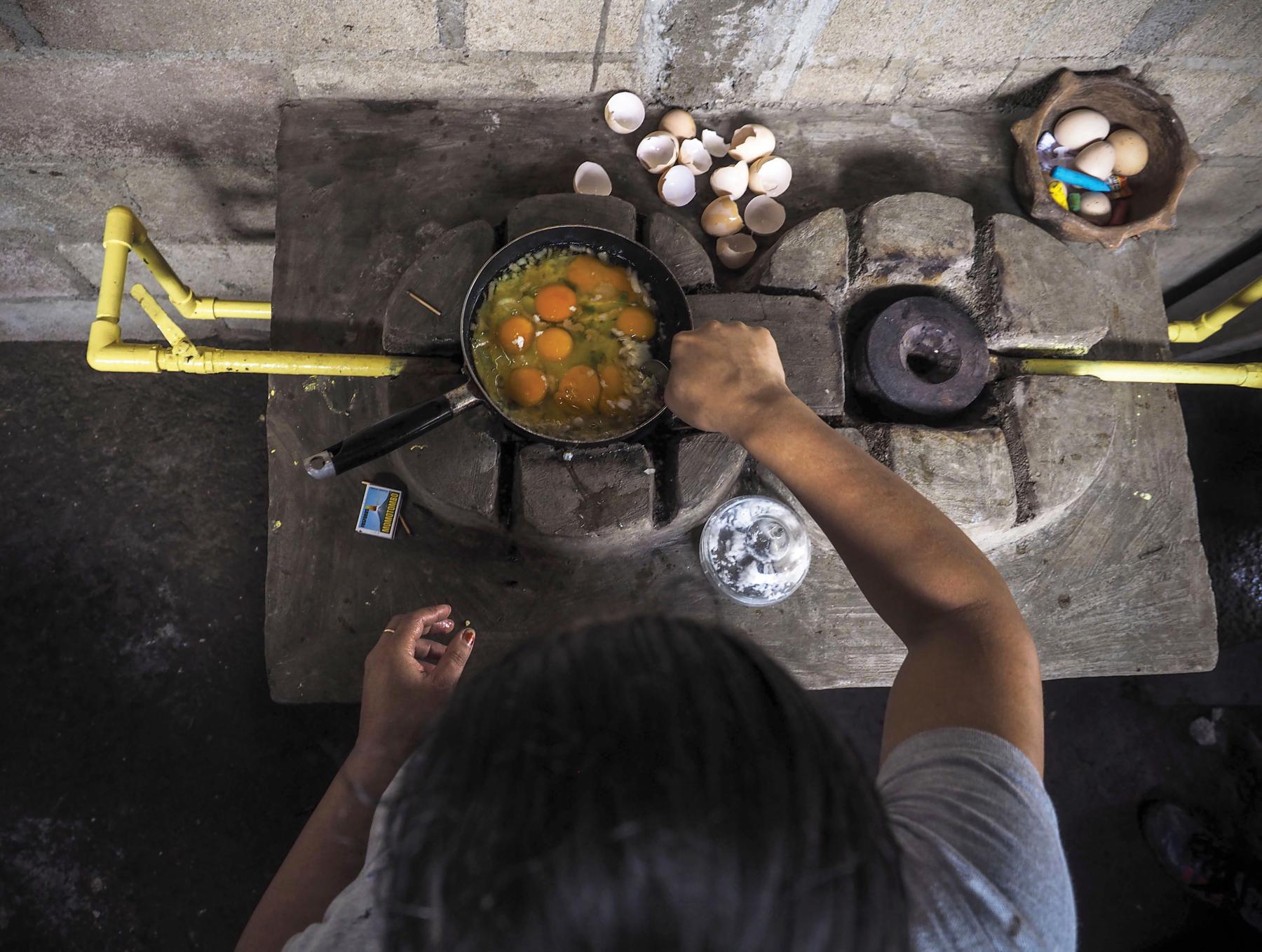 Eleven eco-friendly service projects around the world | Rotary ...