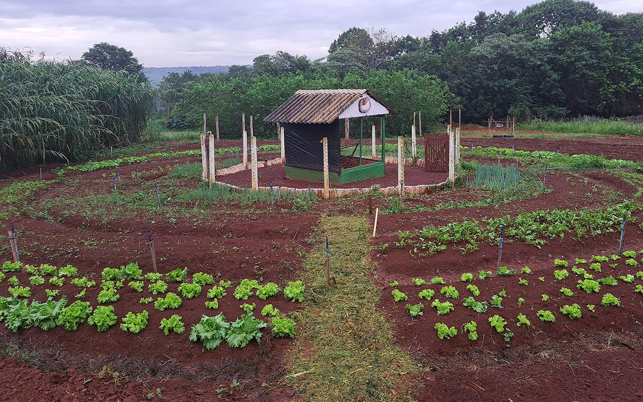 Rotary: hortas mandala impulsionam pequenos produtores no Paraná ...