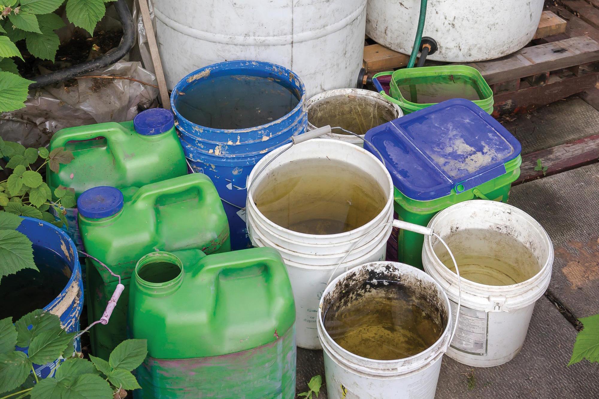 Eleven eco-friendly service projects around the world | Rotary ...