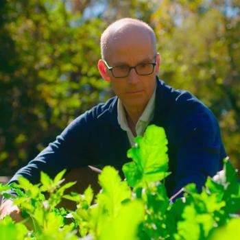 About Rotary | Rotary International