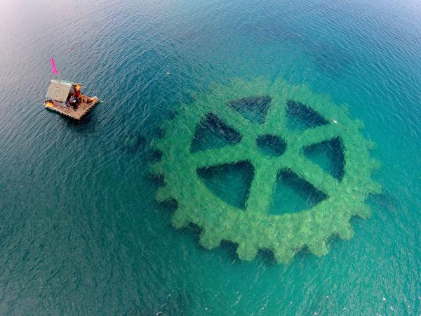 Giant Rotary wheel a haven for fish in Philippines | Rotary International