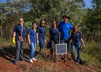 Rotary Action Groups | Rotary International