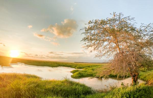 Partnership Rotary - UNEP | Rotary International