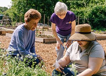 Rotary Action Groups | Rotary International