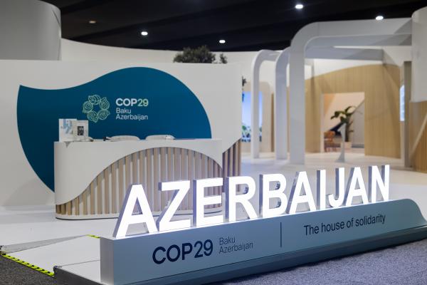 Championing the environment: Rotary at COP29 | Rotary International