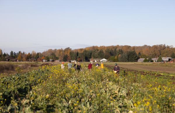 Endowment Fund Financial Report 2024 25 Rotary International