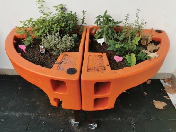 Rotary projects around the globe August 2021 | Rotary International