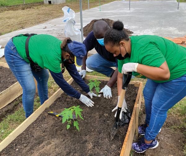 Rotary Projects Around the Globe December 2021 | Rotary International