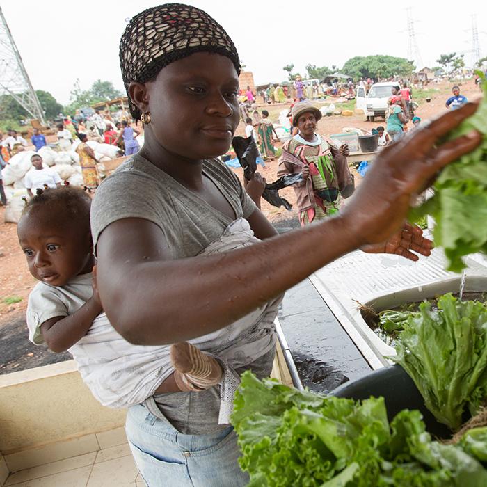 Projects | Rotary International