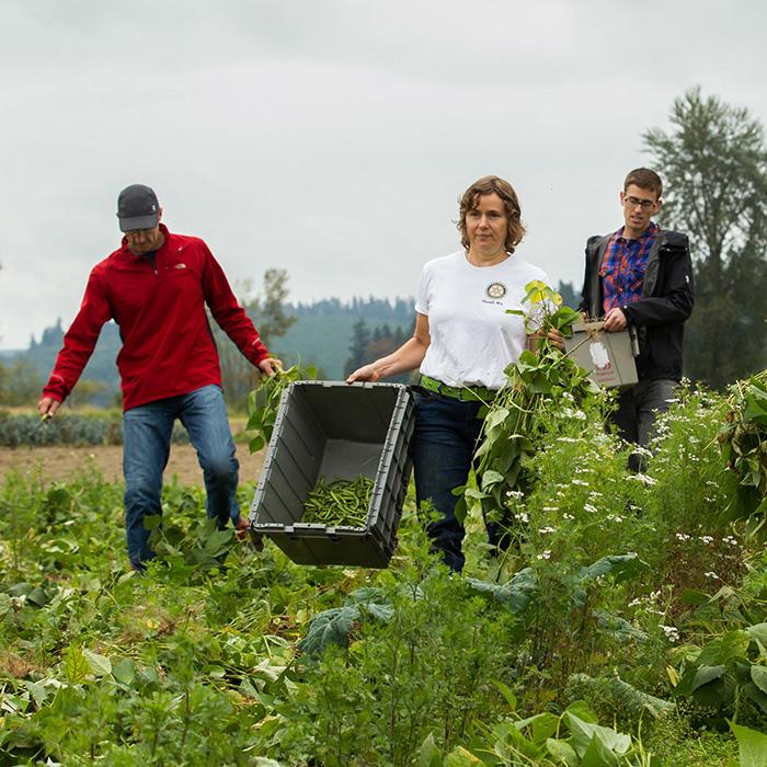 Growing Local Economies | Rotary International